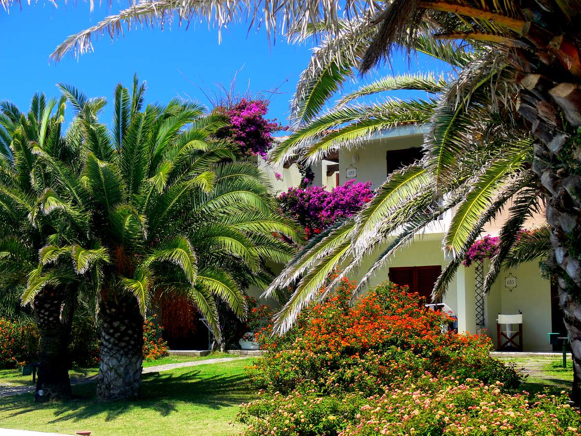 21 Florida Landscape Ideas for the Perfect Yard | OpenHouse Home Insurance