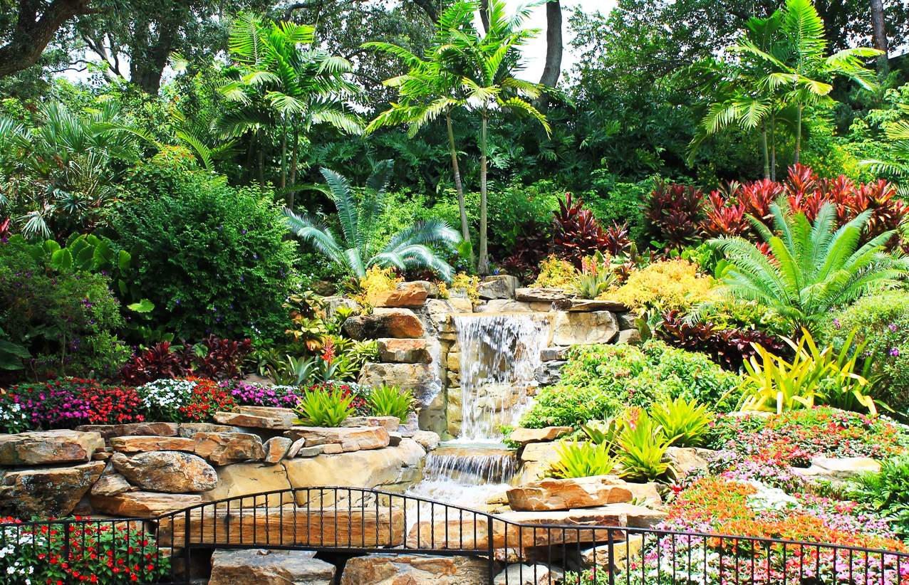21 Florida Landscape Ideas for the Perfect Yard | OpenHouse Home Insurance