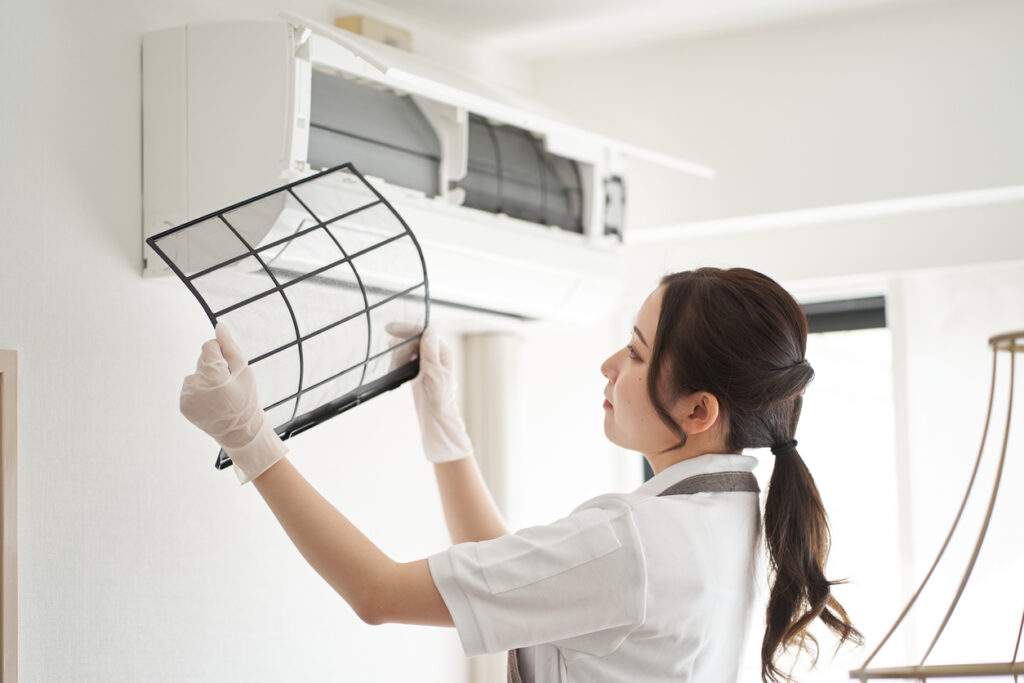 How to Clean, Prevent, and Check for Mold in an Air Conditioner ...